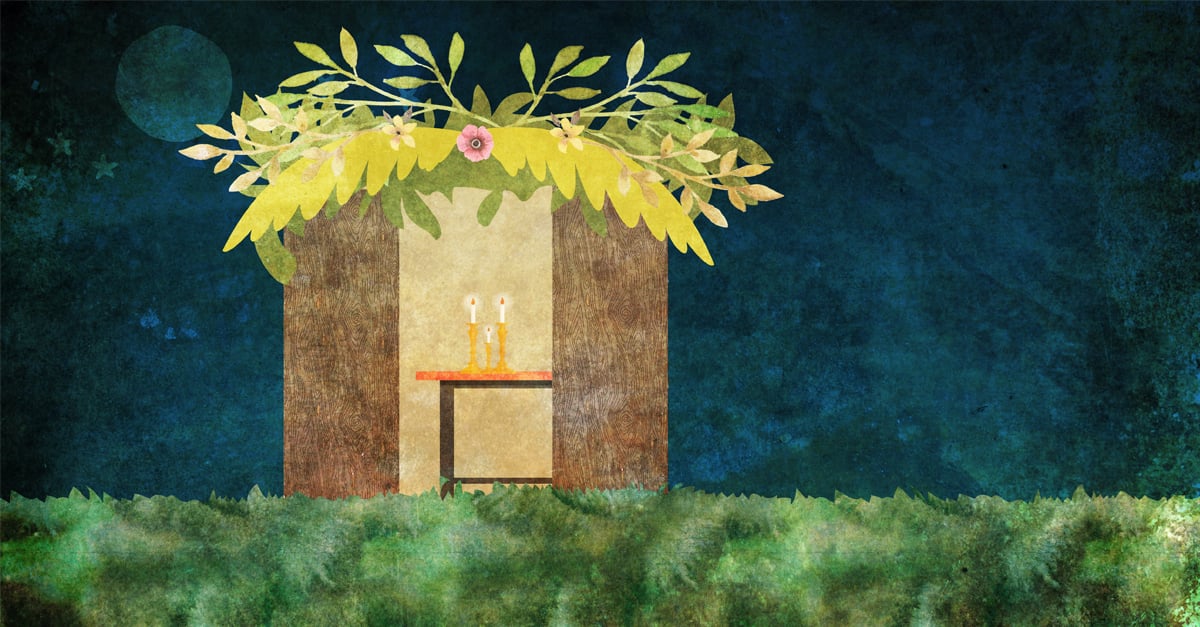Sukkot: A Celebration of Harvest and Divine Protection | Chabad Brighton